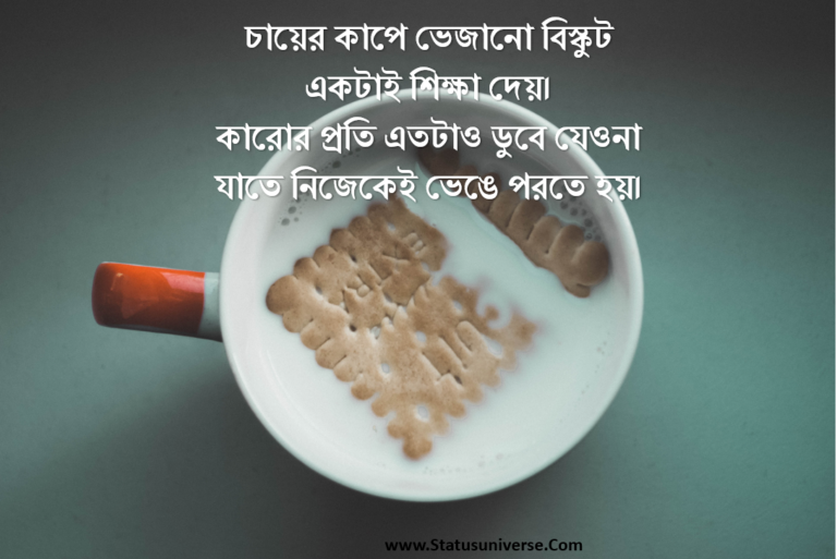 100+ Best Sad Status Bangla - বাংলা দুঃখের স্ট্যাটাস - Status Universe